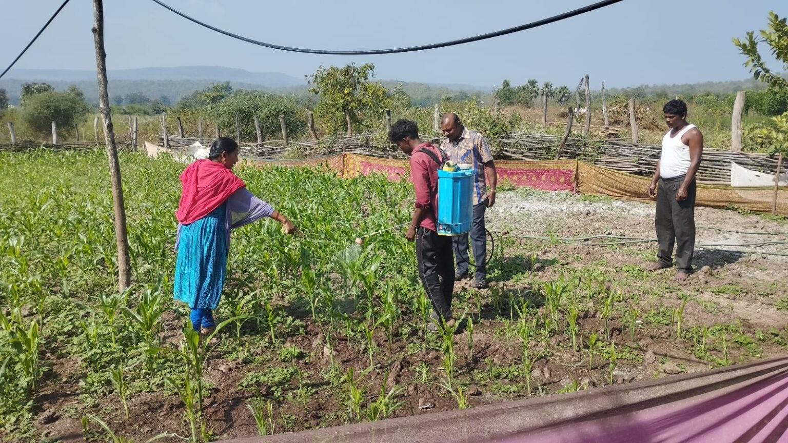 Indigenous tribe tackling health and livelihood issues through ...