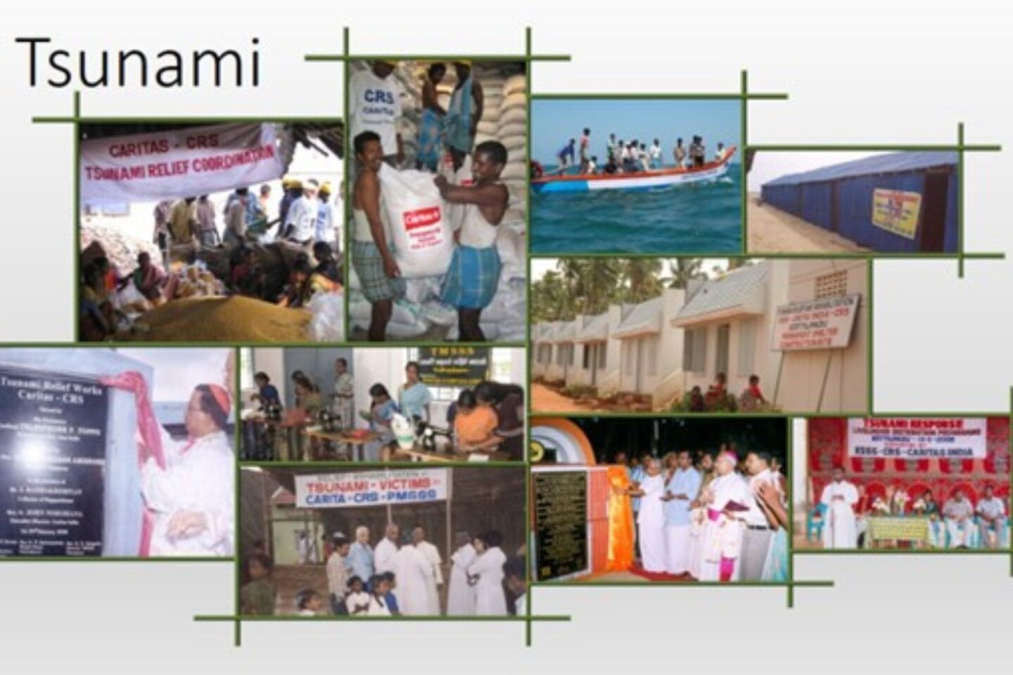 History & Legacy | Caritas