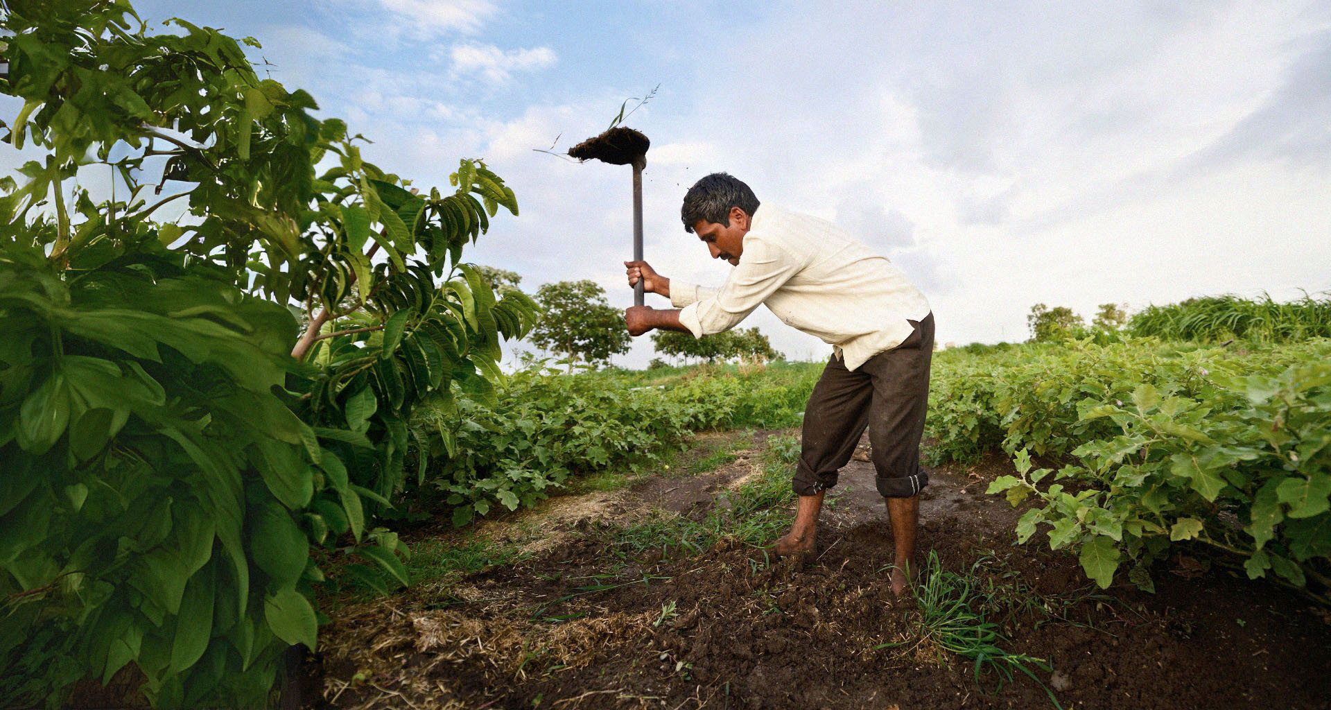 Climate Adaptive Agriculture and Food Sovereignty | Caritas
