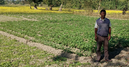 Biresh Pegu’s ’s Journey toward Climate-Resilient Livelihoods | Caritas