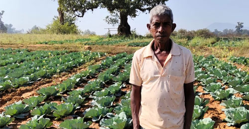 Today Latehar farmers can beat the drought, drop by drop | Caritas