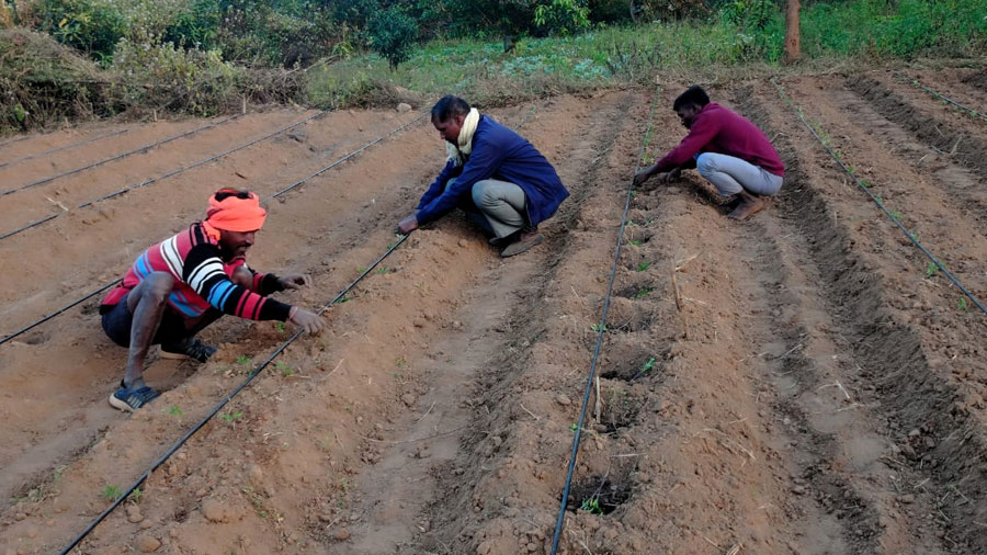 Today Latehar farmers can beat the drought, drop by drop | Caritas